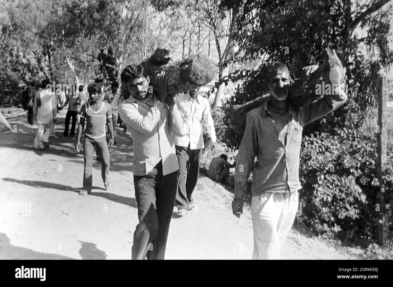 Men carrying wooden logs for funeral pyre, Bhopal, Madhya pradesh ...