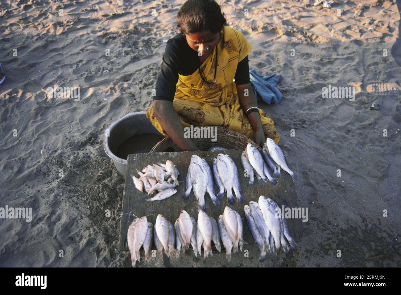 Woman selling fish, India, Asia Stock Photo - Alamy