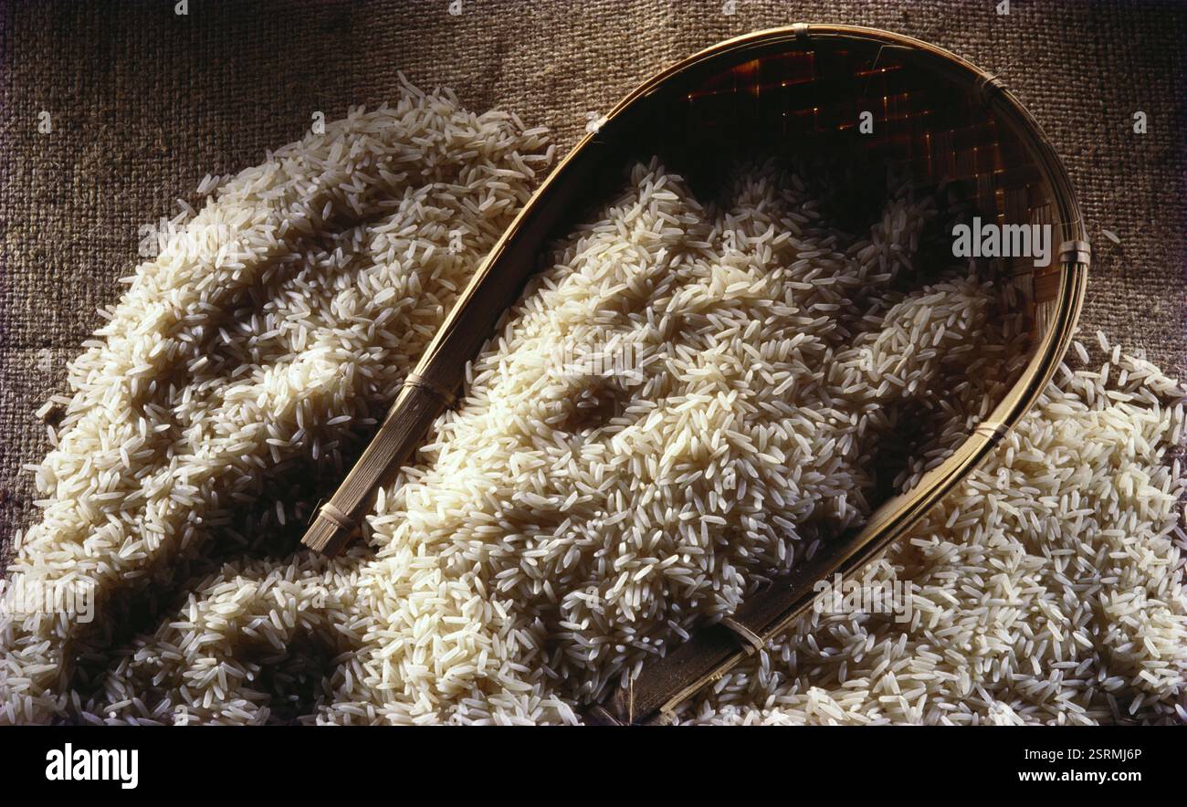 Rice Basmati in winnowing basket for export, India, Asia Stock Photo ...
