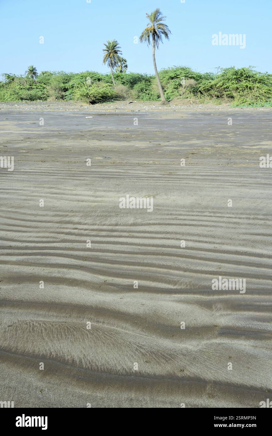 Valsad gujarat india hi-res stock photography and images - Alamy