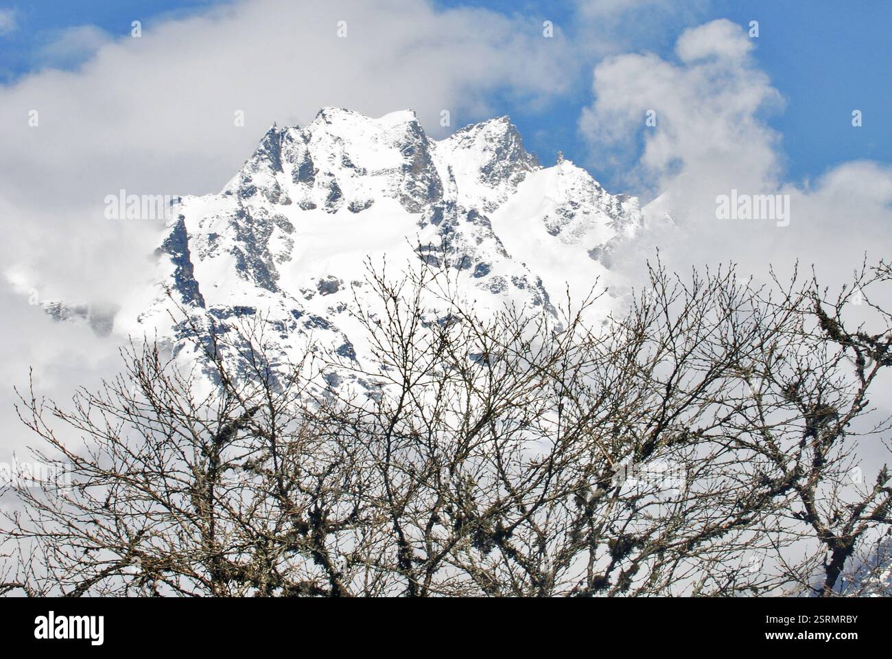 Snow peak of katao range, Yumthang, North Sikkim, India, Asia Stock ...