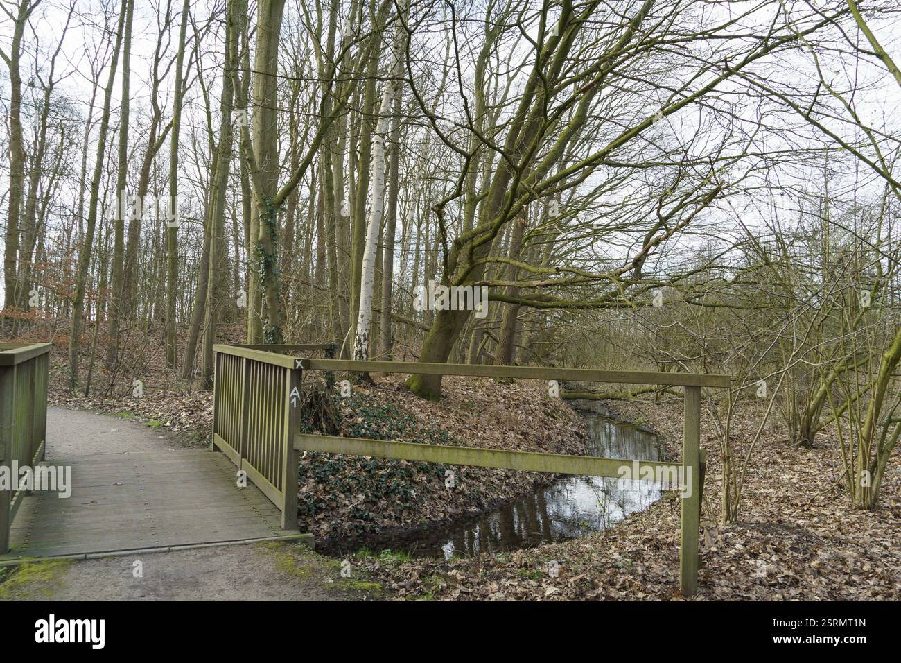 Wooden bridge over a small river in a wooded and quiet area, Borken ...