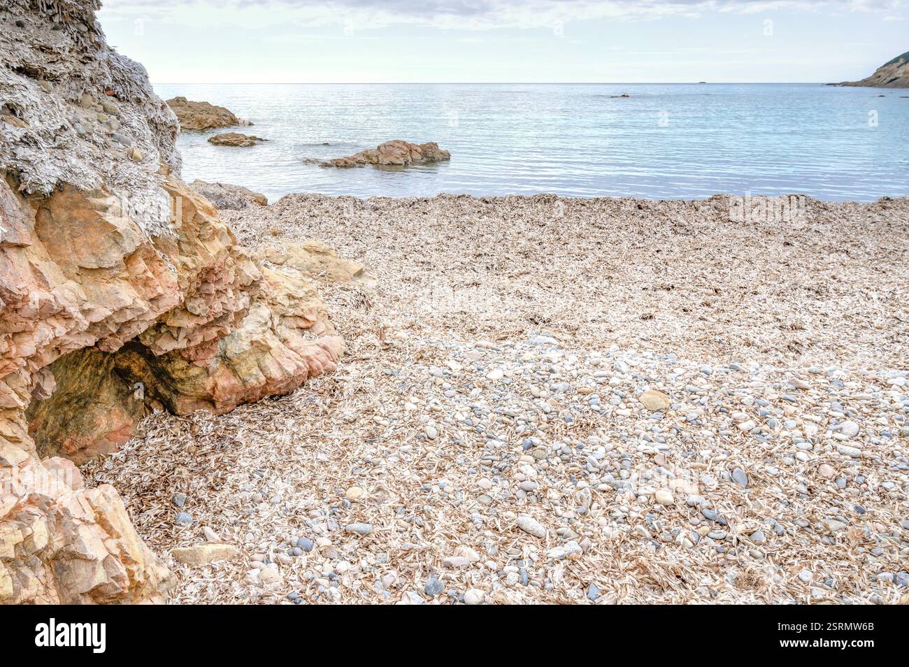 Layers of seagrass on rock at the pebble beach bay of Plage de Stagnoli ...