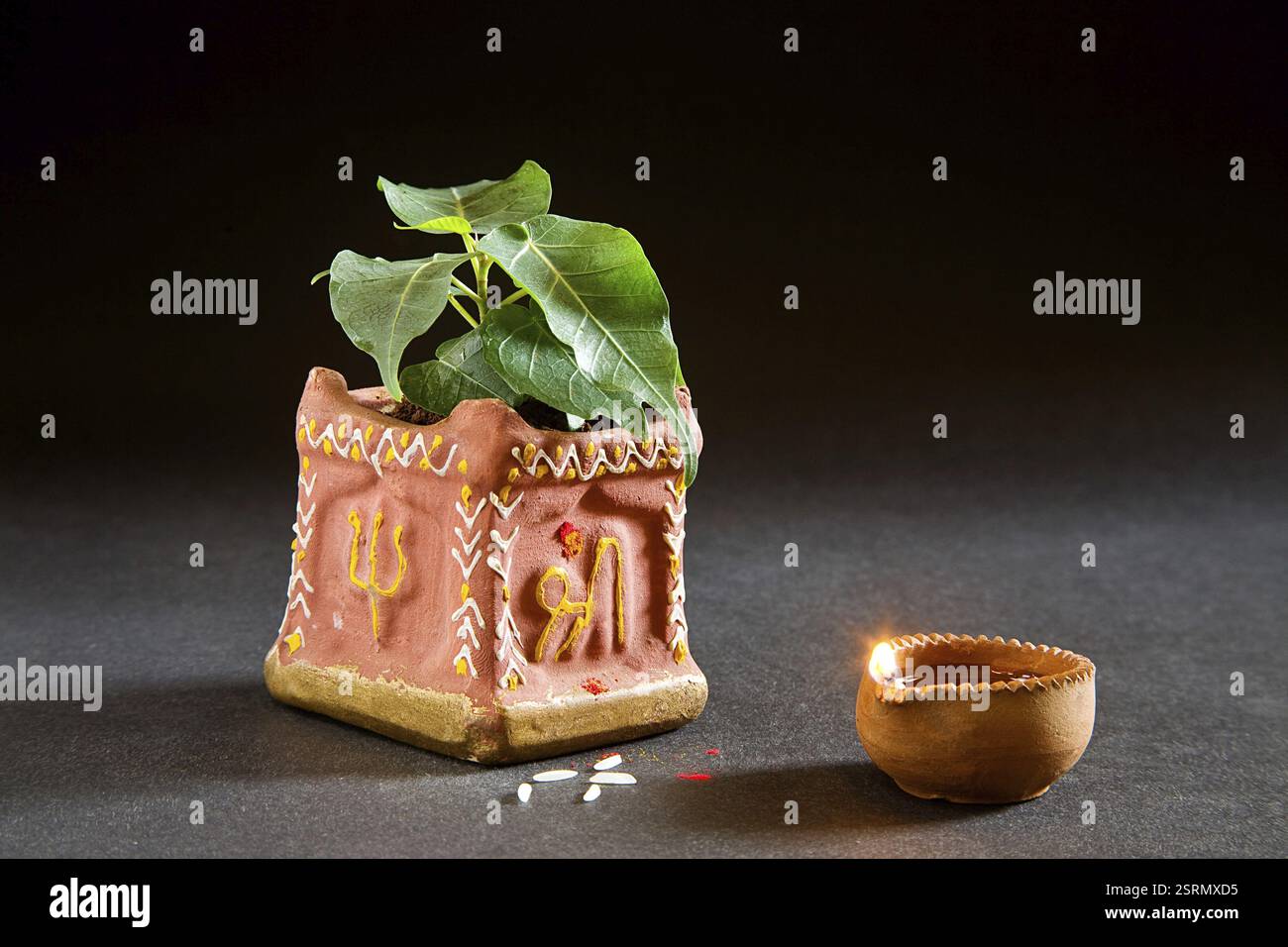 Lord Vishnu Peepal tree in the Vrindavan india may 2011 Stock Photo - Alamy