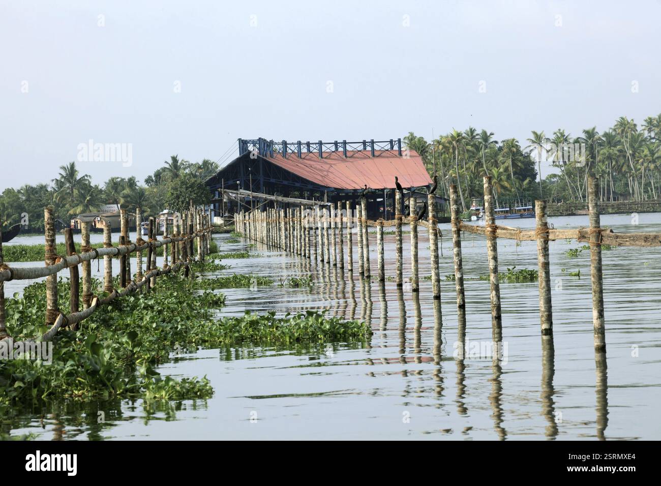 Punnamada lake, Alleppey, Alappuzha, Kerala, India, Asia Stock Photo ...