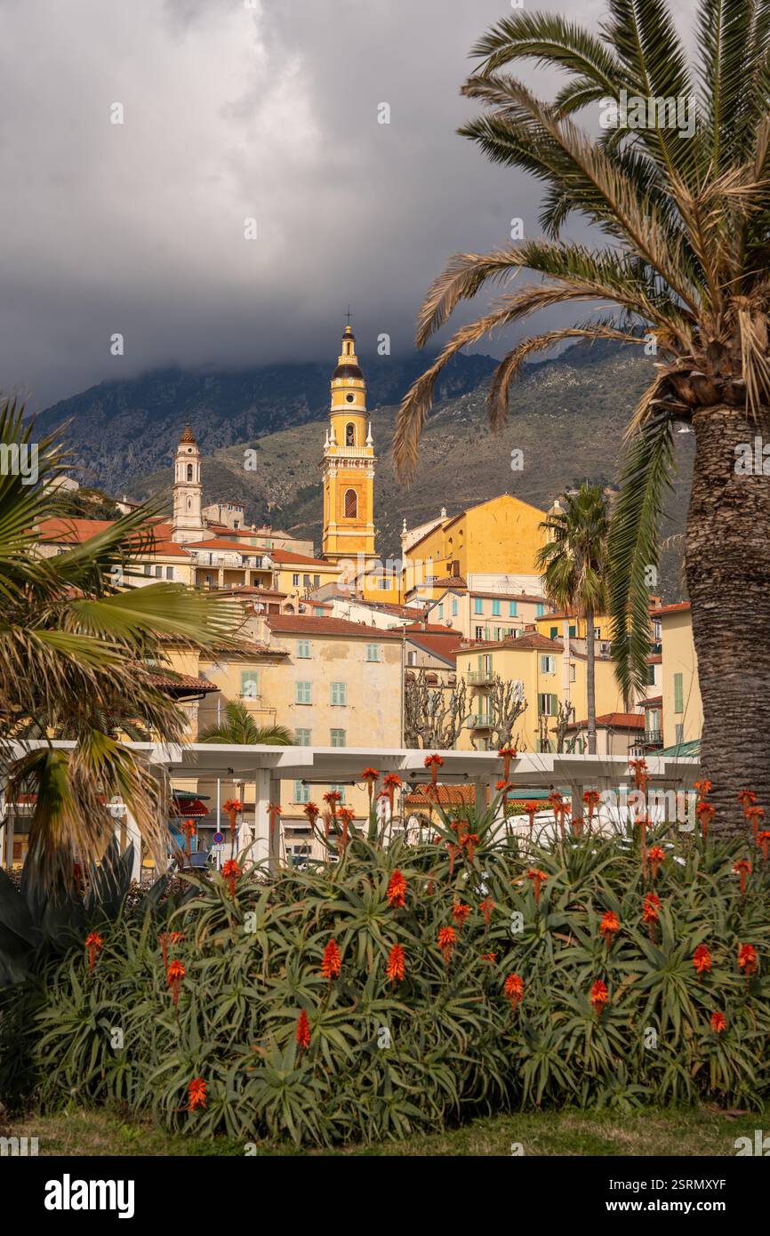 Menton Old Town, Côte d’Azur: A Charming And Colorful Gem On The French ...
