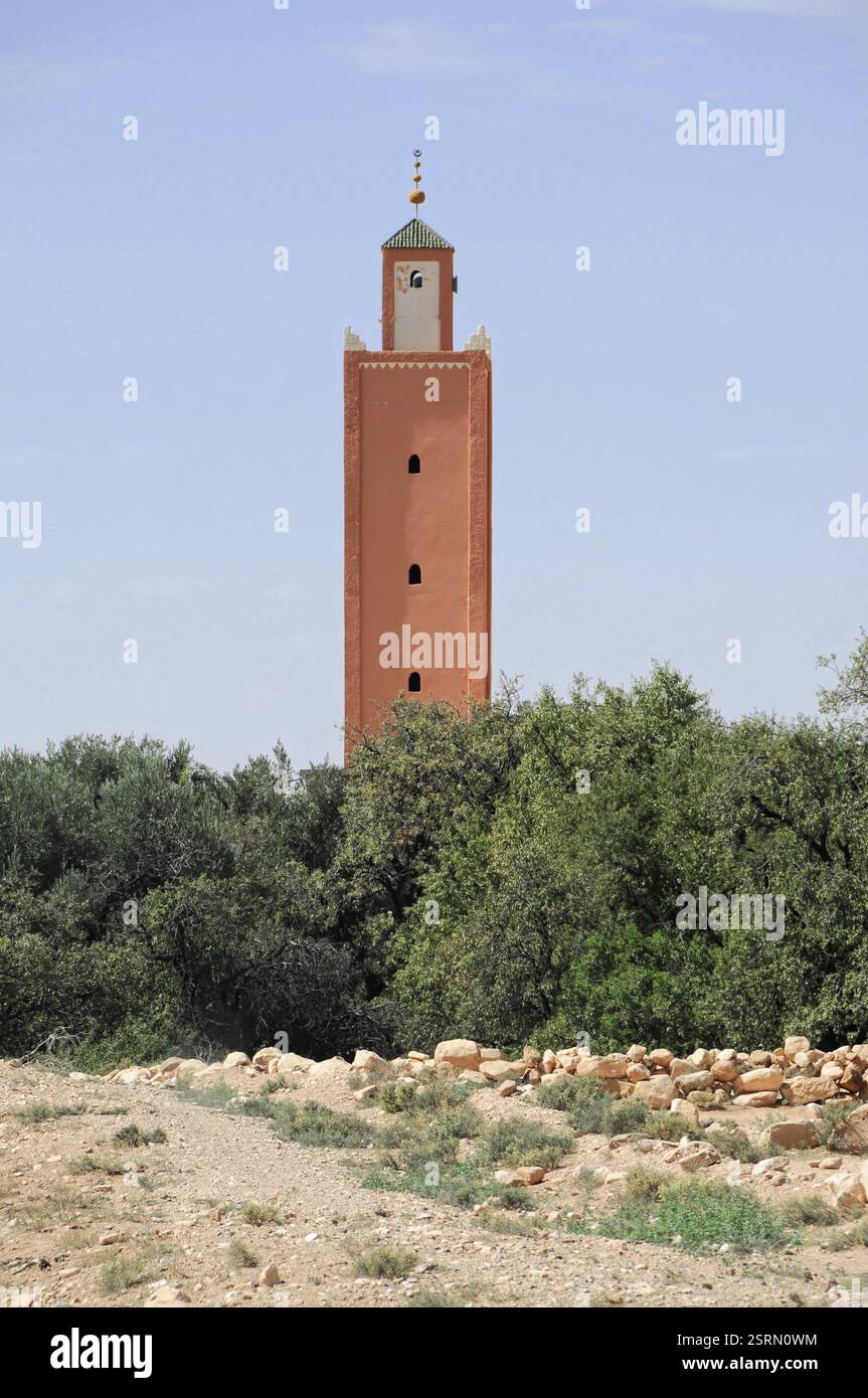 Drive to Quarzazate, Morocco, A single, tall tower rises above green ...