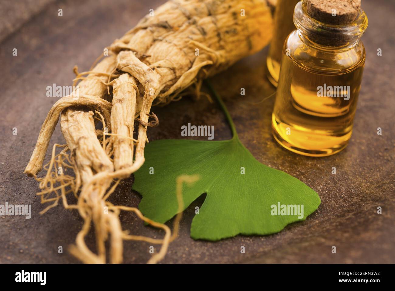 Extract of ginseng root and ginkgo biloba leaves Stock Photo - Alamy
