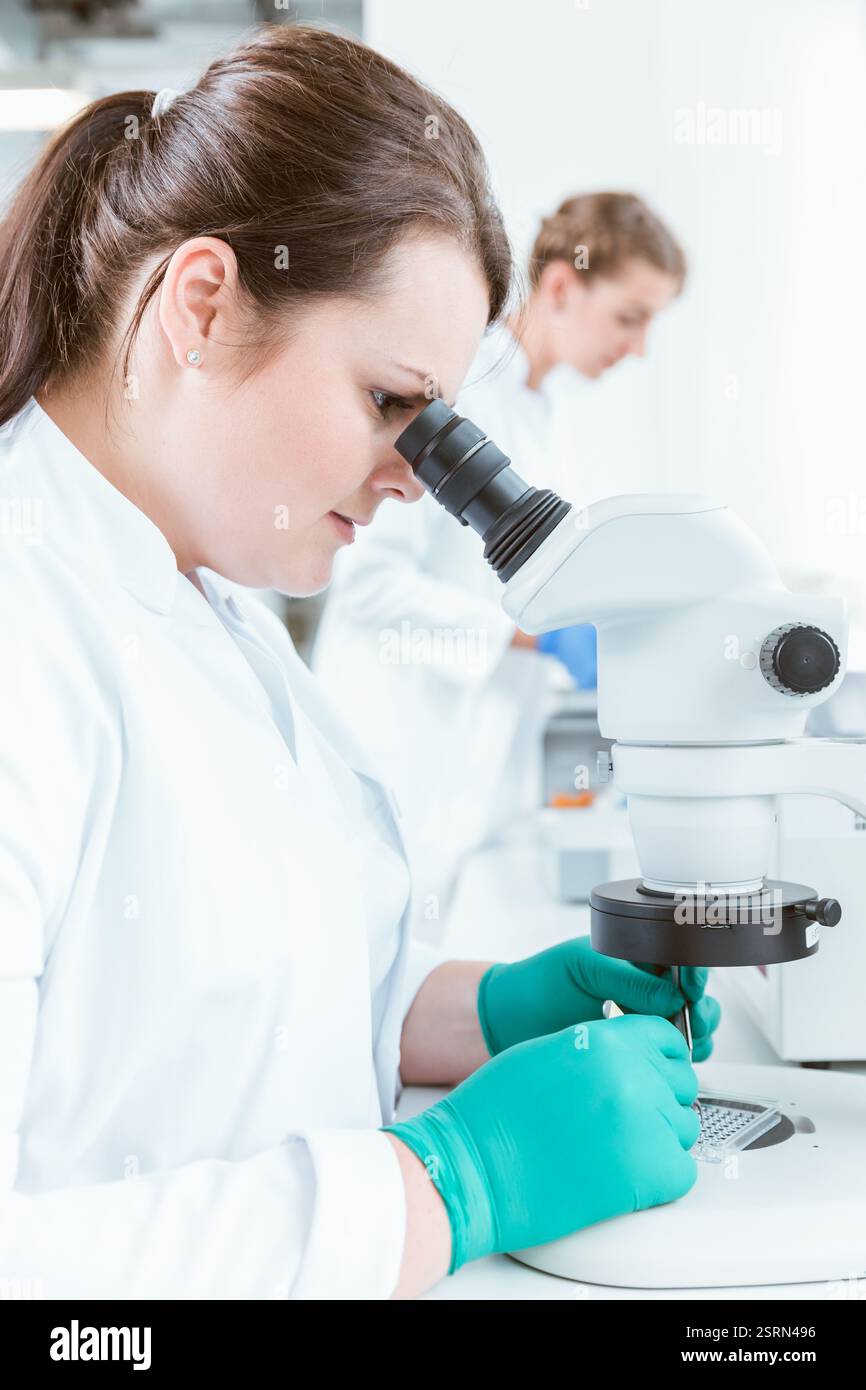 Female scientist using microscope in lab Stock Photo - Alamy