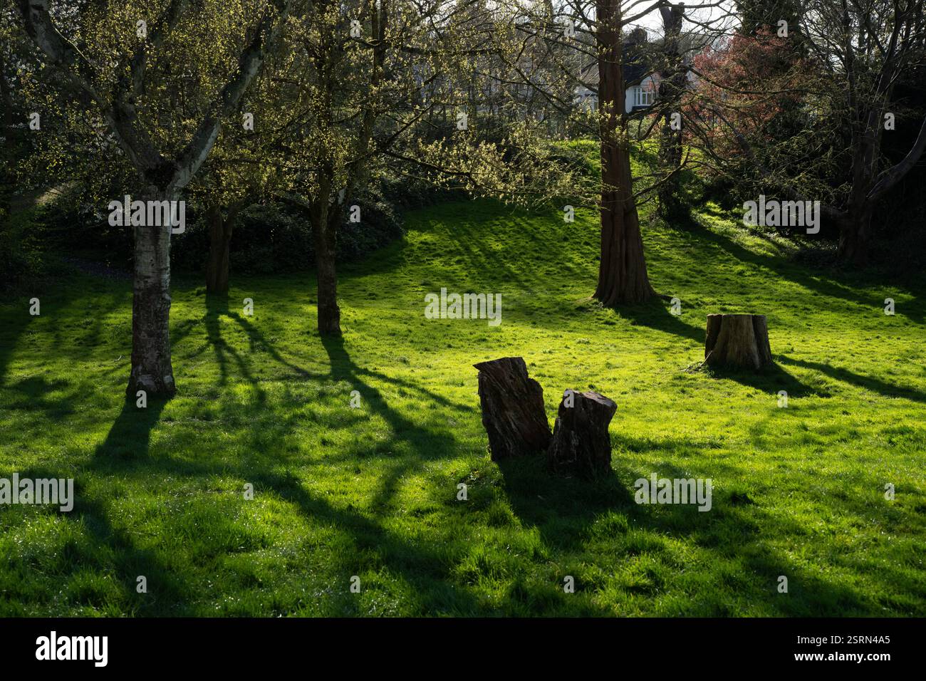 Lesnes Abbey Woods London Stock Photo - Alamy