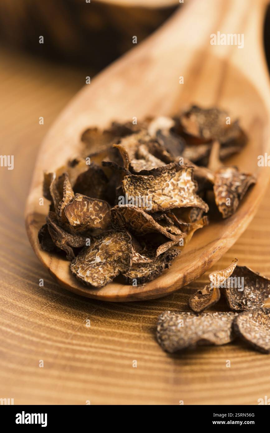 Black truffle mushroom - gourmet vegetable Stock Photo - Alamy