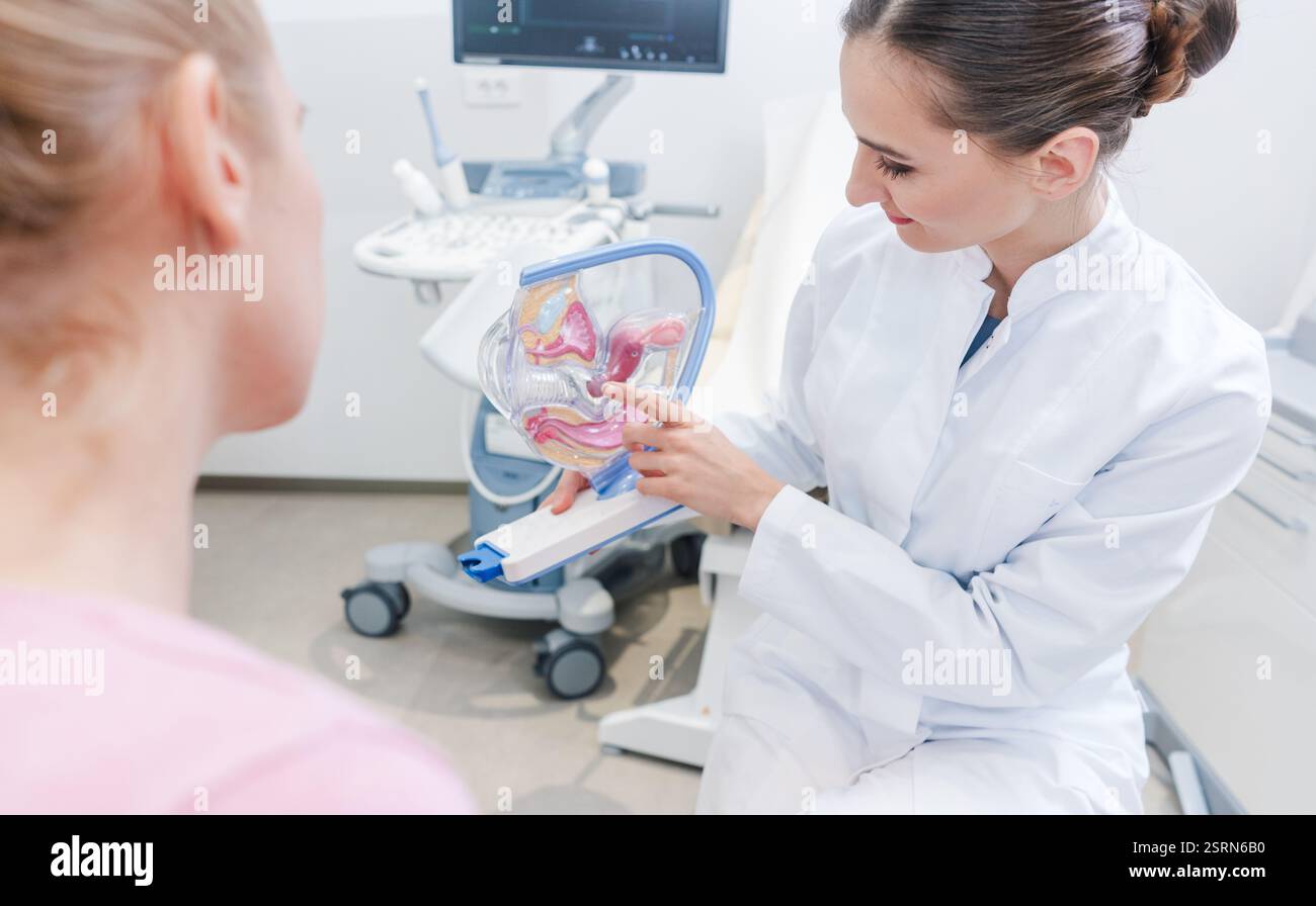 Woman at the gynecology examination with doctor Stock Photo - Alamy
