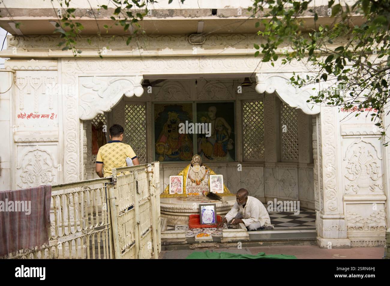 Nidhivan vrindavan, mathura, uttar pradesh, india, asia Stock Photo - Alamy
