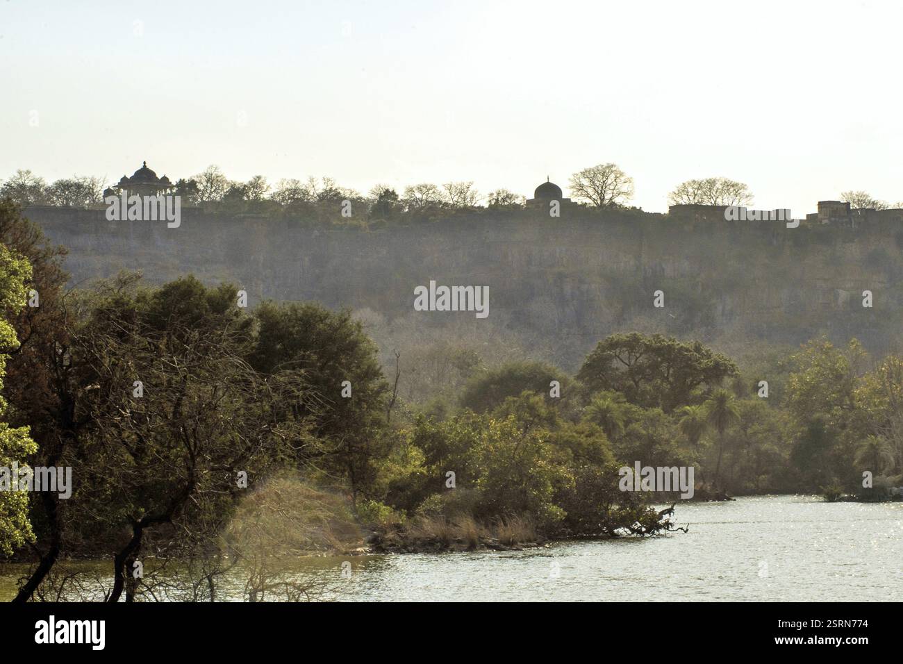 Fort on hilltop, Ranthambore Wildlife Sanctuary, Rajasthan, India, Asia ...