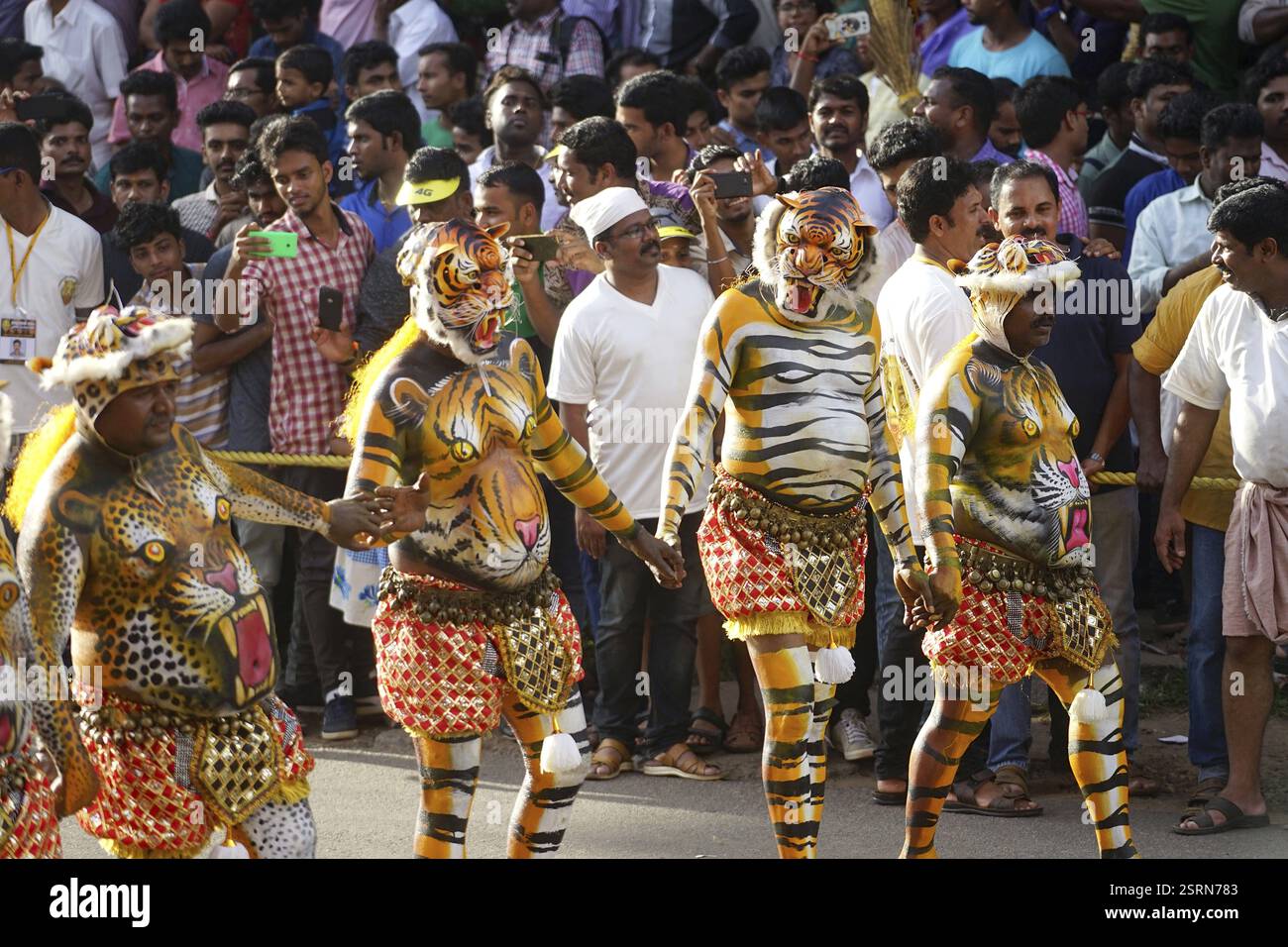 Pulikali Tiger Dance procession, Onam festival, Thrissur, Kerala, India ...
