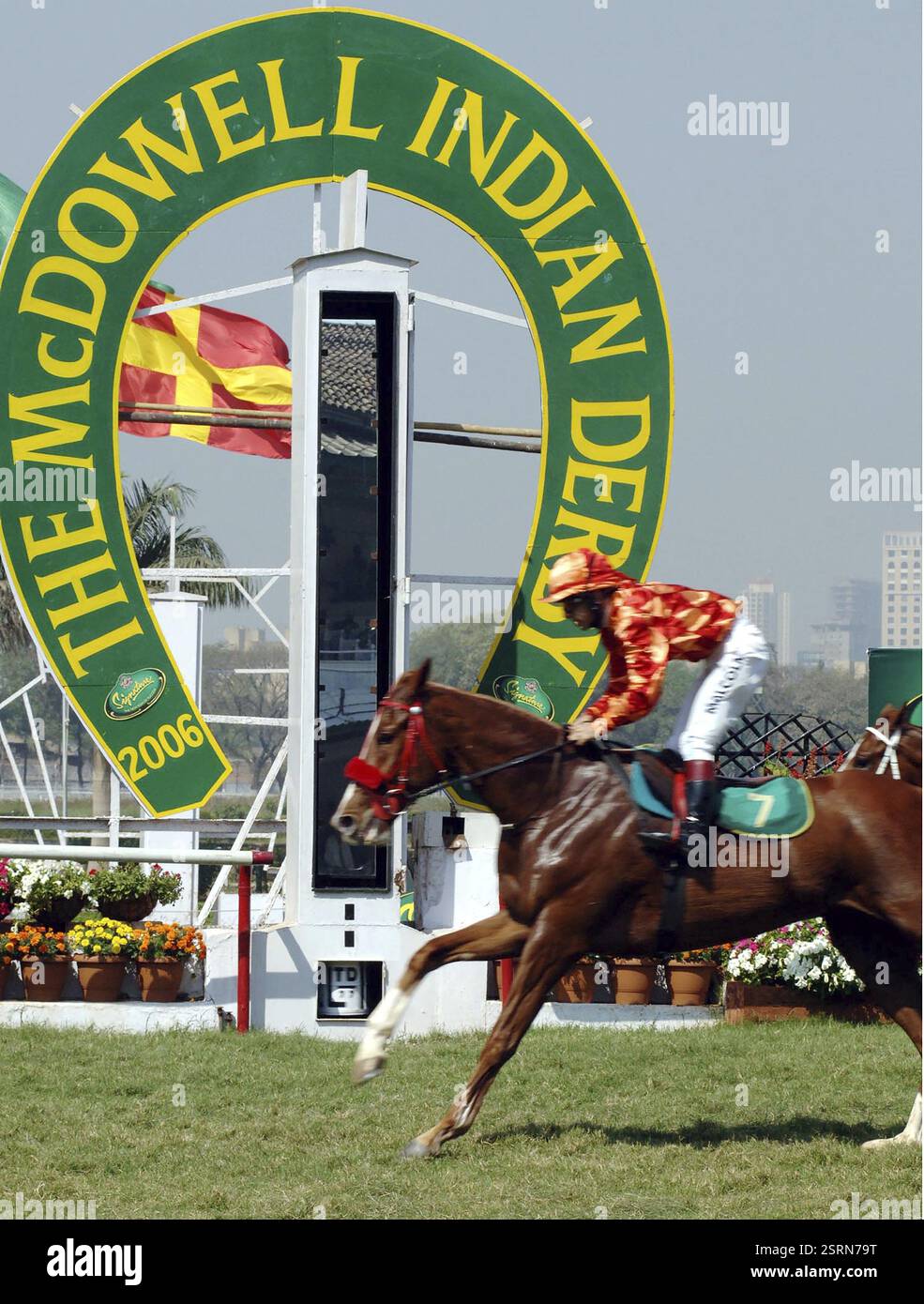 Winning horse at Mahalaxmi Race Course, Mumbai, Maharashtra, India ...