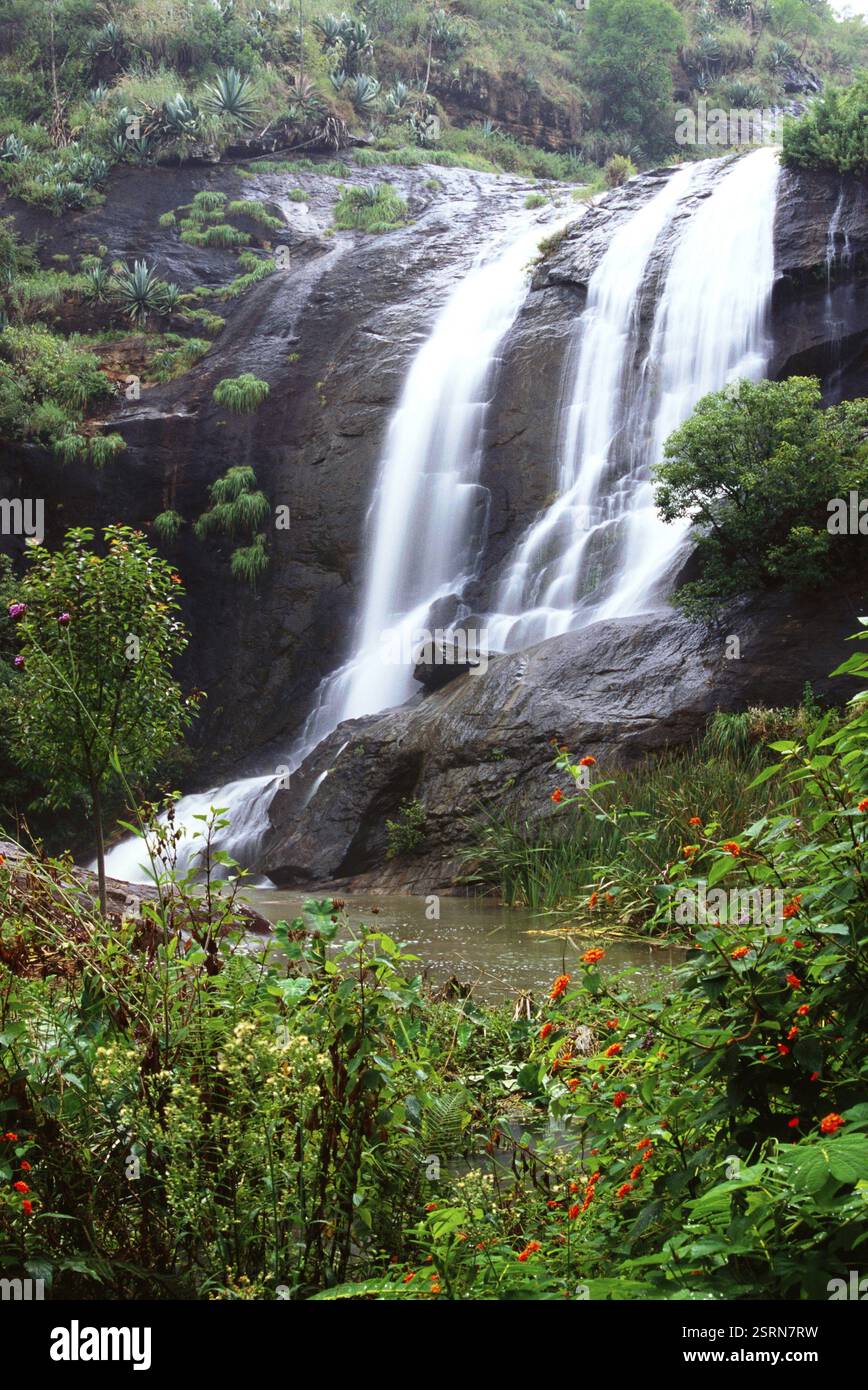 Kalahatti falls, Nilgiri, Tamil Nadu, India, Asia Stock Photo - Alamy