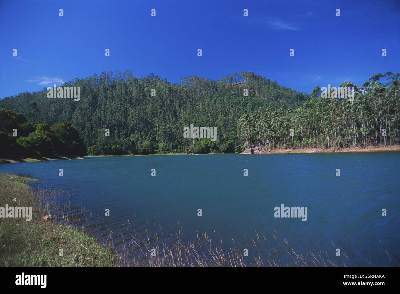 Echo point, Munnar, Kerala, India, Asia Stock Photo - Alamy
