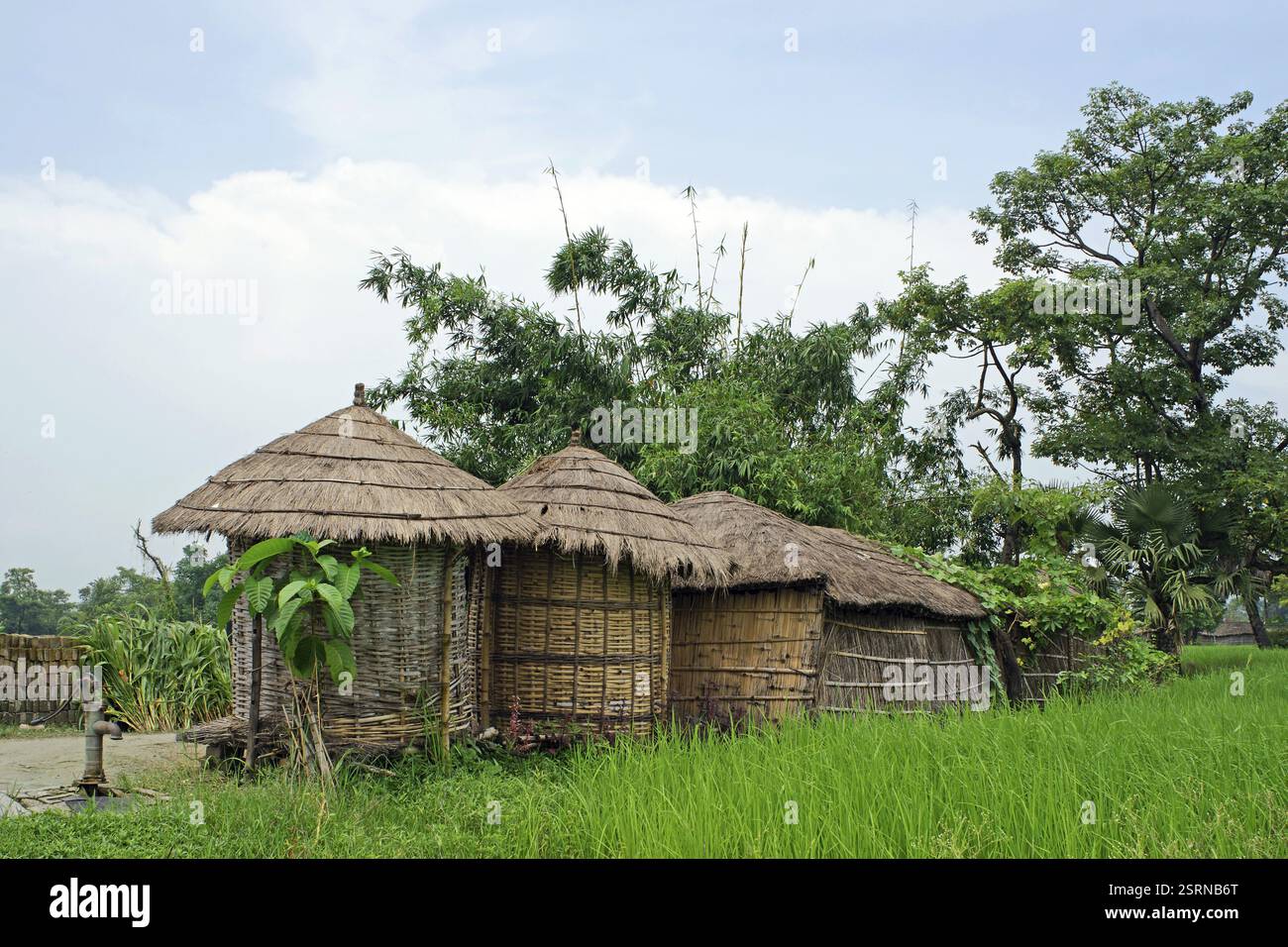 Huts in Heritage village life, Vaishali to Kesariya, Bihar, India, Asia ...