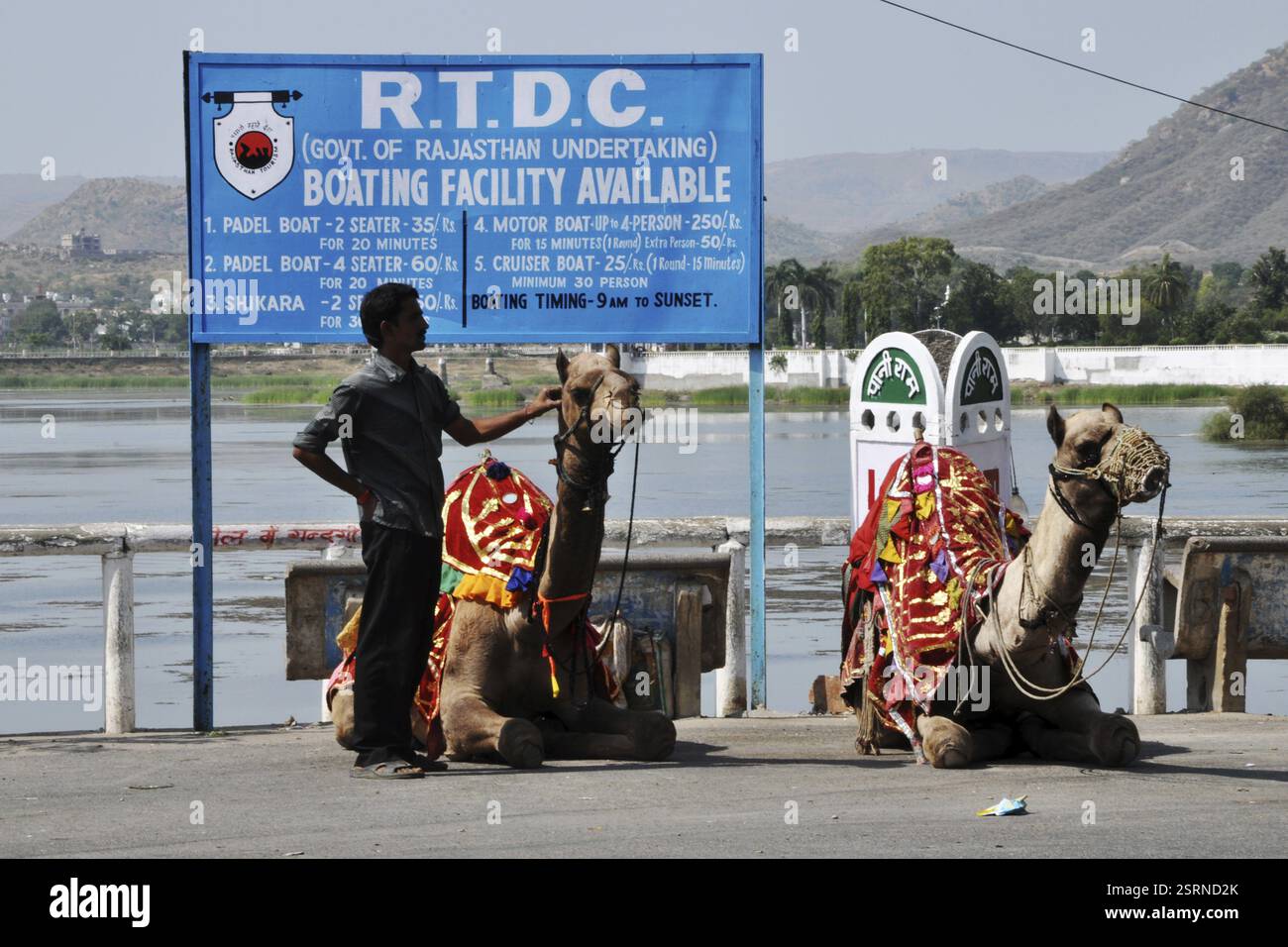 Man with camel, lake pichola, udaipur, rajasthan, india, Asia Stock ...