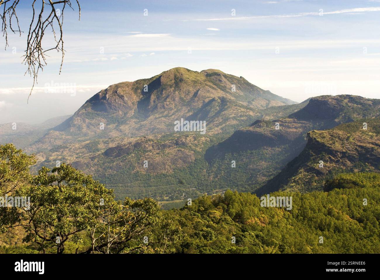 Agasthya mountains, Pollachi, Valparai, Tamil Nadu, India, Asia Stock ...