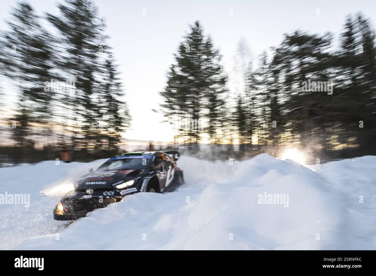 33 Elfyn EVANS, Scott MARTIN, Toyota GR Yaris Rally1, action during the ...