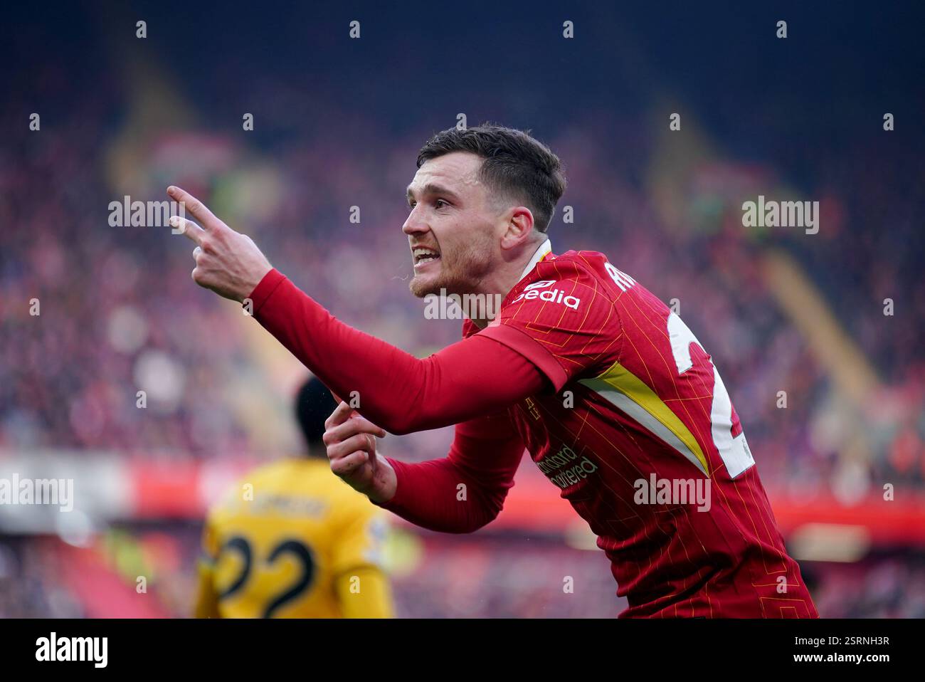 Liverpool's Andrew Robertson argues with the referee's assistant during ...