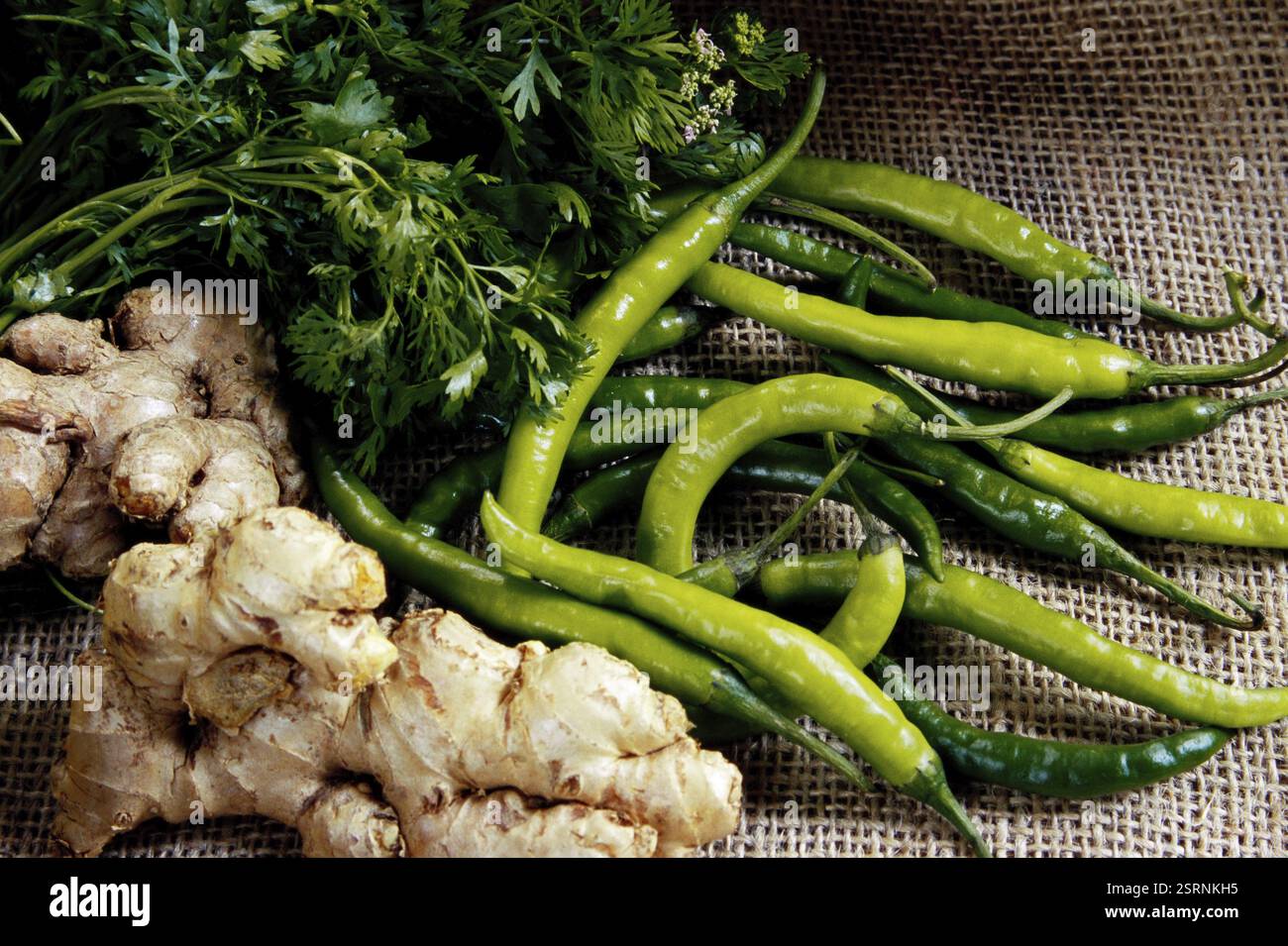 Indian spices, coriander garlic and green chilli, India, Asia Stock ...