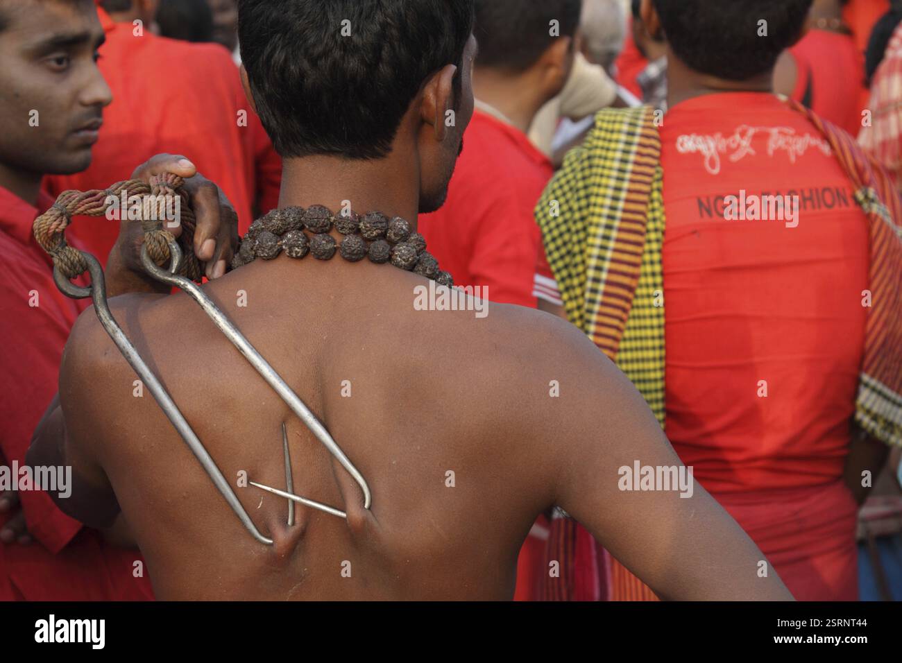 Devotees hooks pierced on back, charak pooja, west bengal, india, asia ...