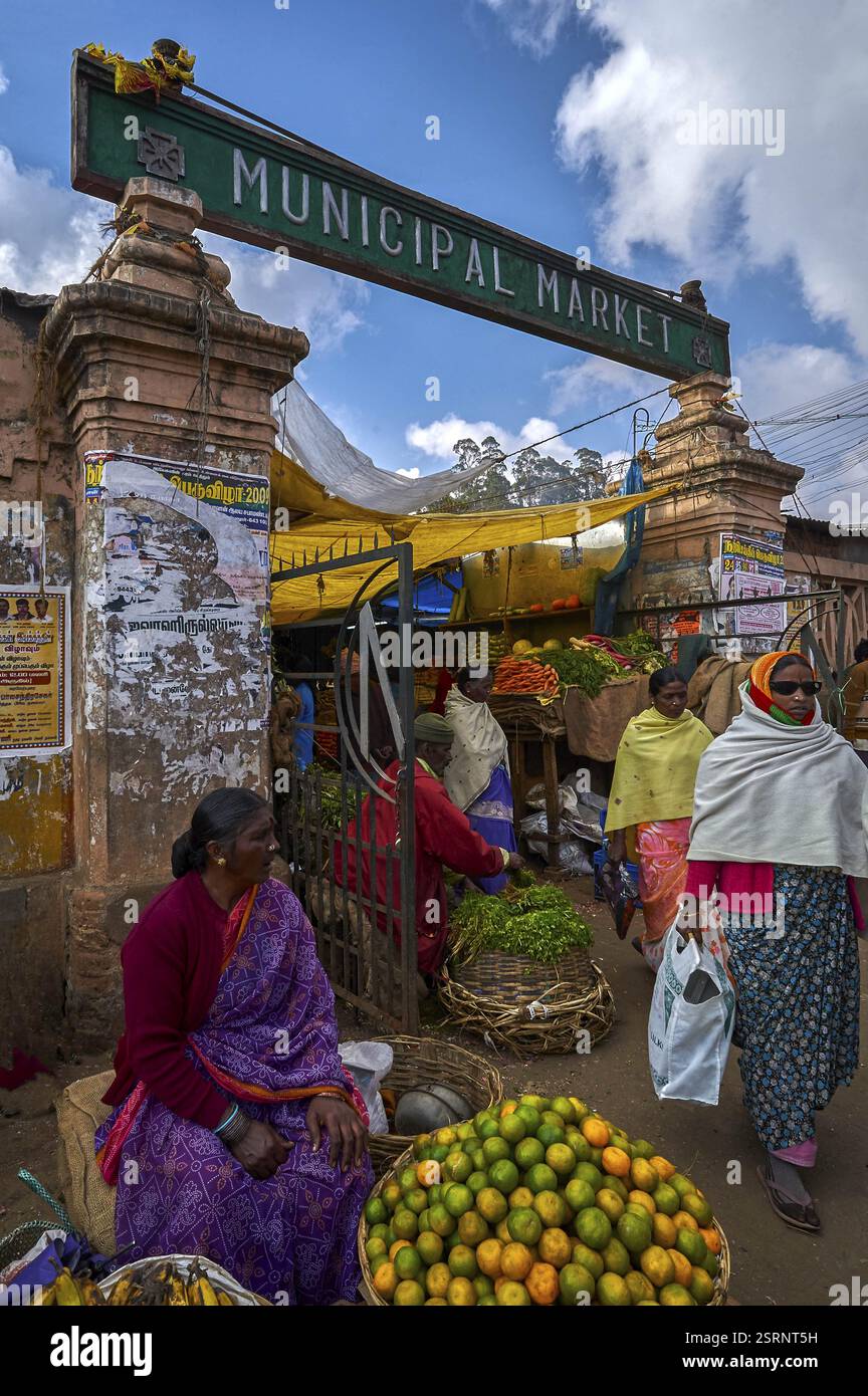 Municipal market, ooty, udagamandalam, Tamil nadu, india, asia Stock ...