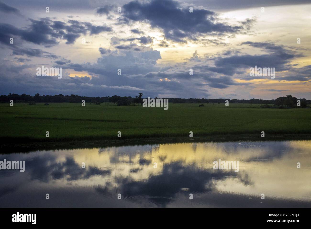 Landscape, Basirhat, west Bengal, India, Asia Stock Photo - Alamy