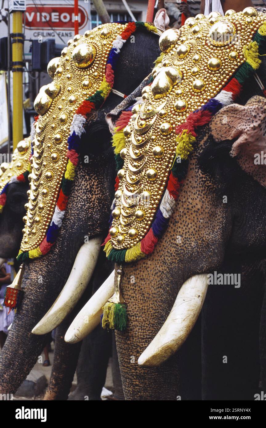 Trichurpooram pooram, elephant march festival, Trichur, Kerala, India ...