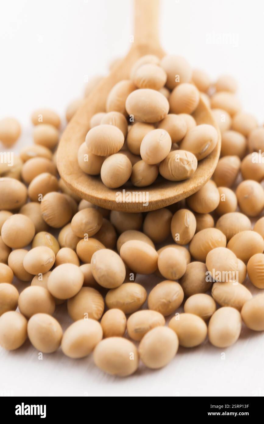 Soy beans detailed close hi-res stock photography and images - Alamy