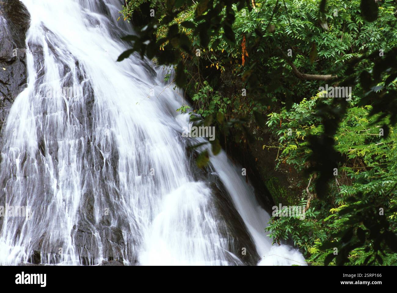 Kovai Courtallam falls, Tamil Nadu, India, Asia Stock Photo - Alamy