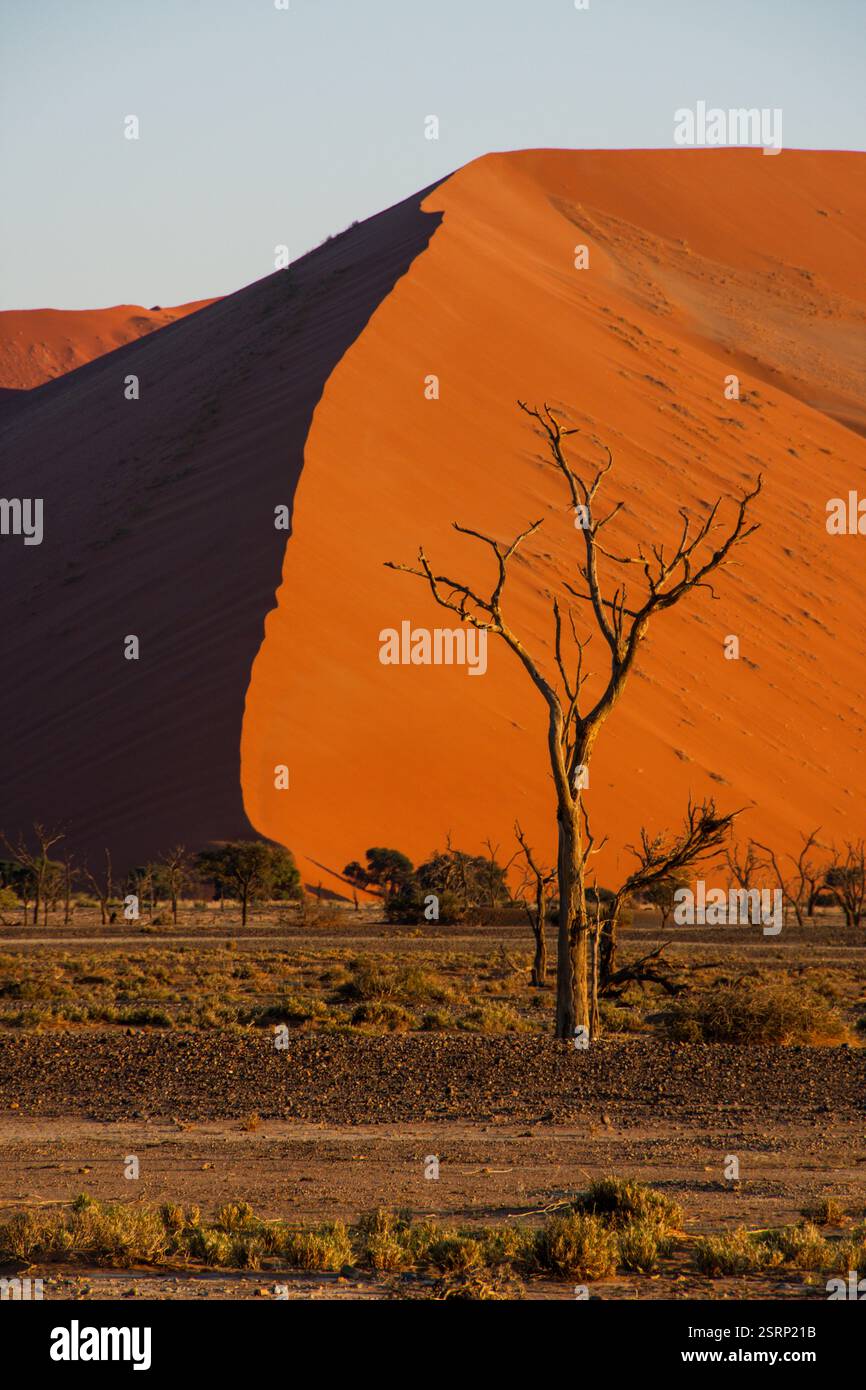 South africa and namibia hi-res stock photography and images - Alamy