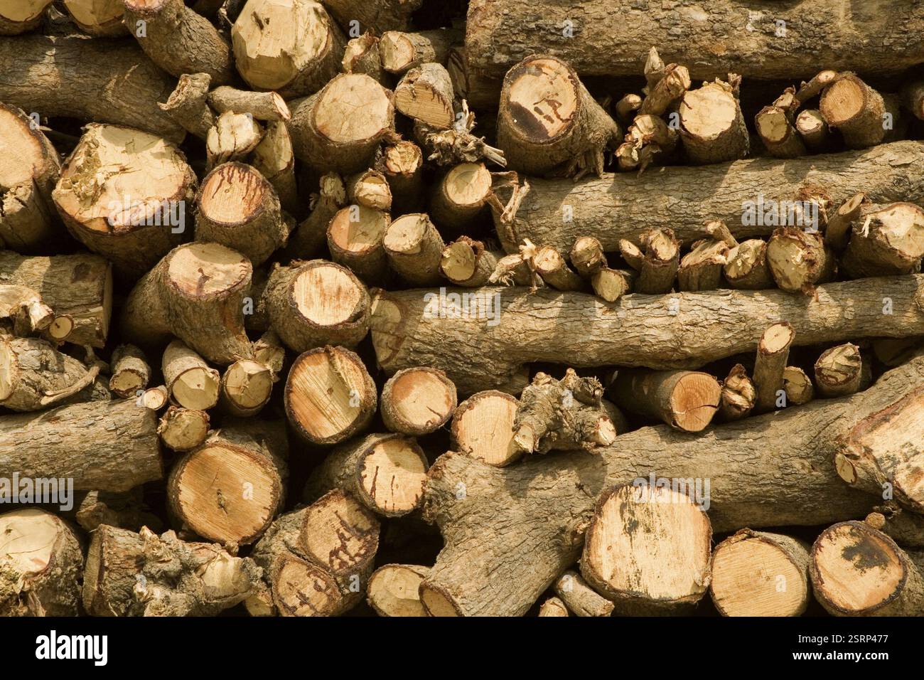 Harishchandra ghat hi-res stock photography and images - Alamy