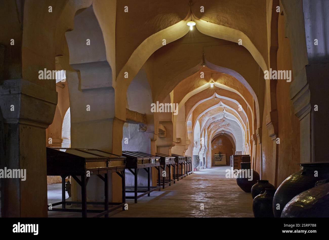 Museum and saraswati mahal library, thanjavur, tamil nadu, india, asia ...