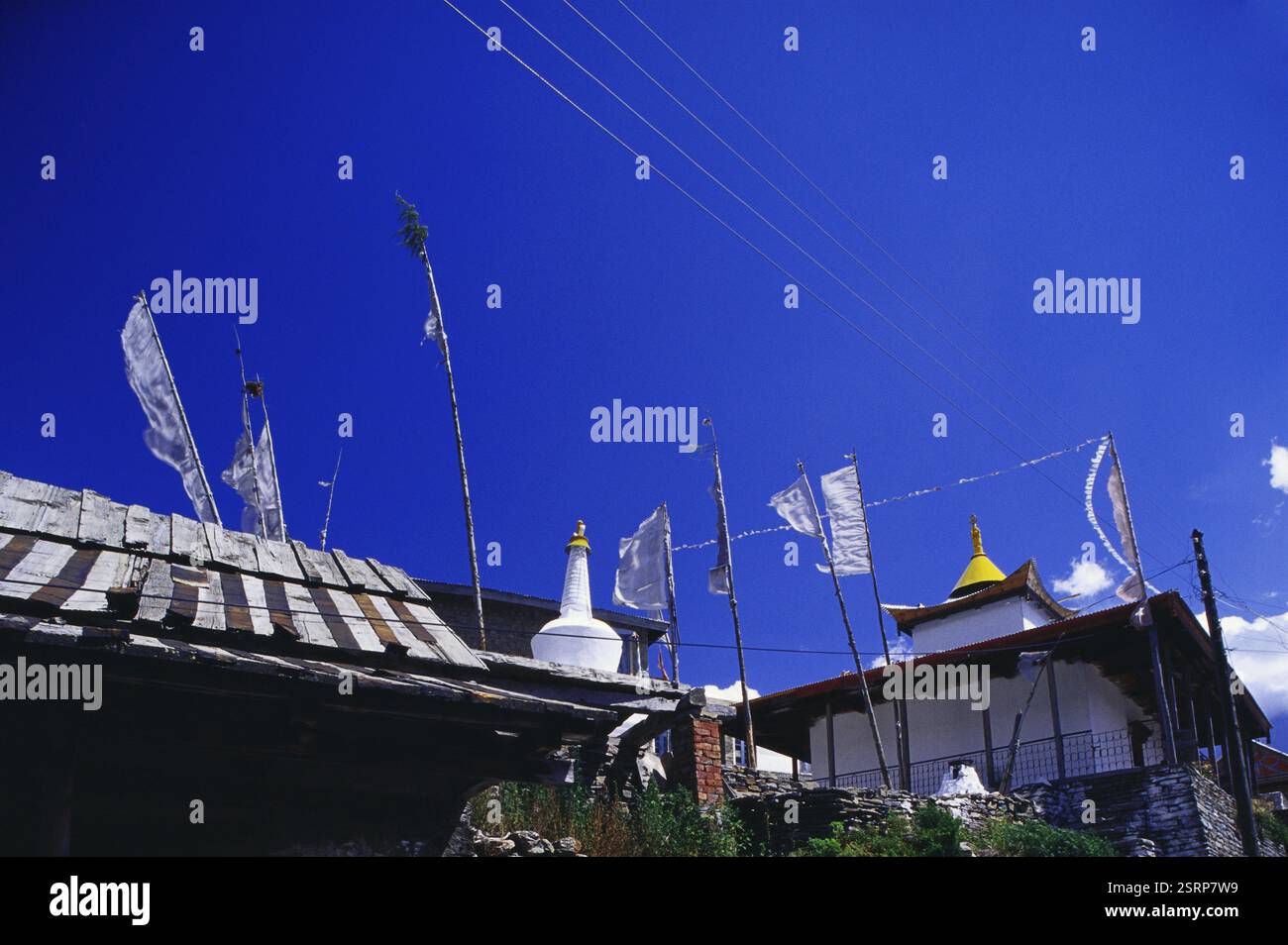 Buddhist monastery, Kalpa gompa, Kalpa, Himachal Pradesh, India, Asia ...