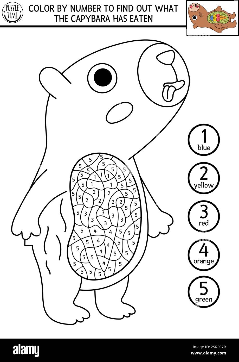 Vector line color by number activity with capybara and food in his ...