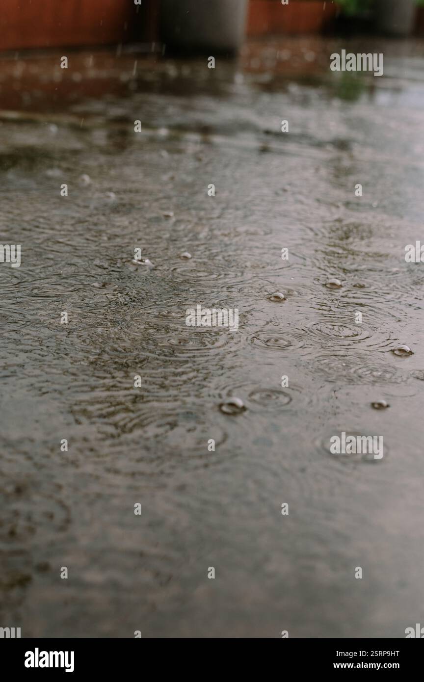 A close-up view captures the delicate dance of raindrops creating ...