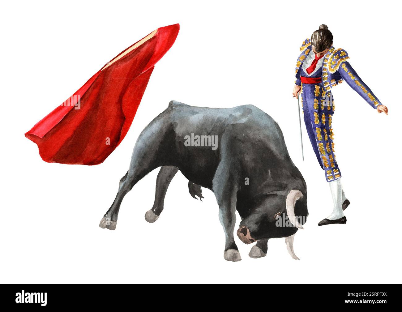 Bullfighter, bullfighter or matador and the bull, set of the elements ...