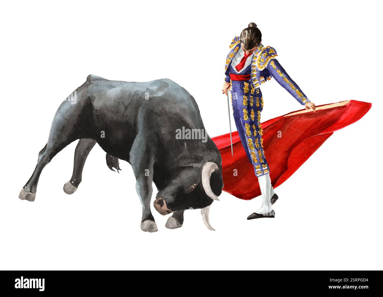 Bullfighting, typical Spanish tradition, bullfighter, bullfighter or ...