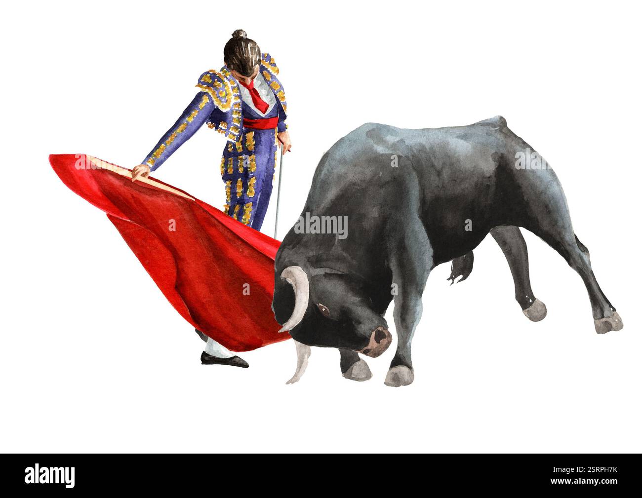 Bullfighting, typical Spanish tradition, bullfighter, bullfighter or ...