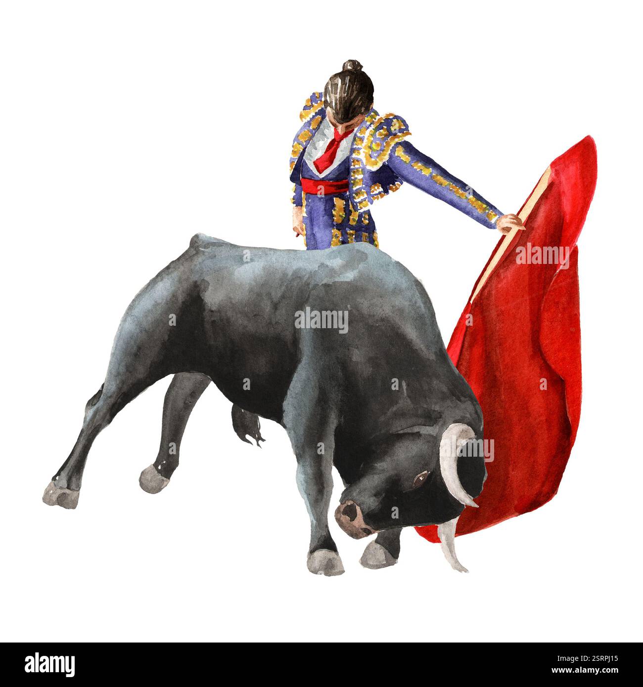 Bullfighting, typical Spanish tradition, bullfighter, bullfighter or ...