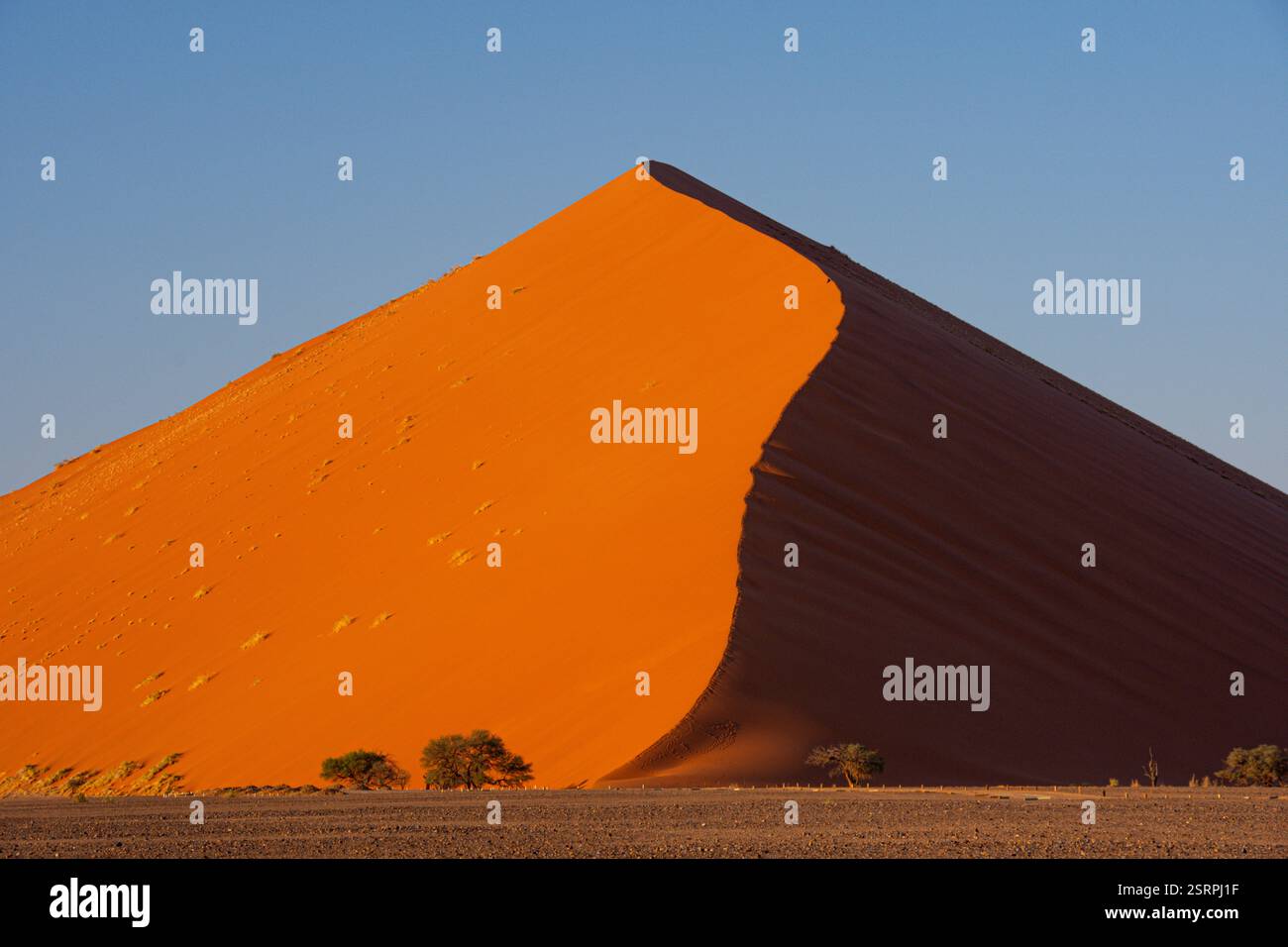 Red Sand Dunes of Sossusvlei in Namibia, Africa Stock Photo - Alamy