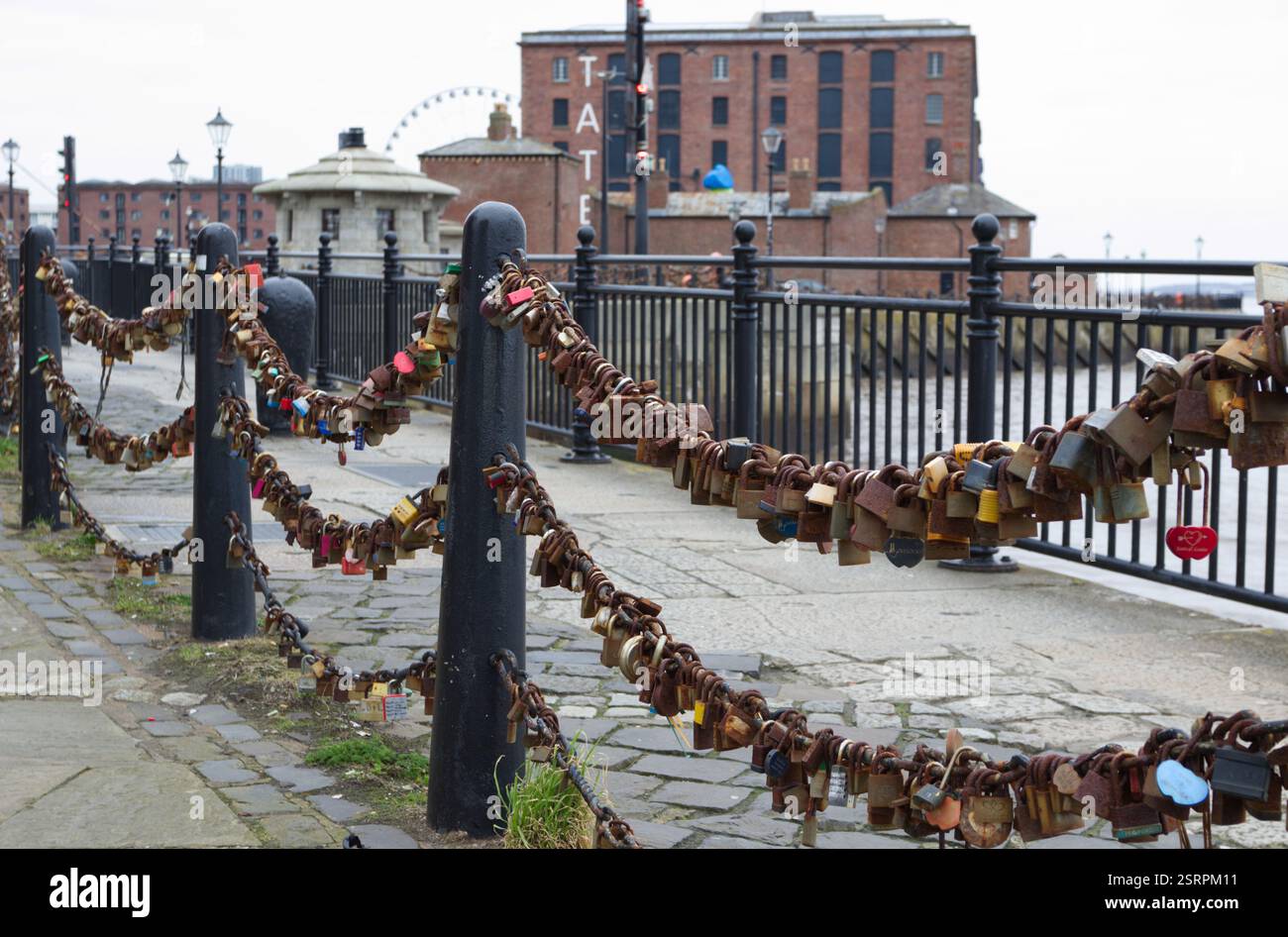 Hundreds of love locks are attached to the chain link fencing lining ...