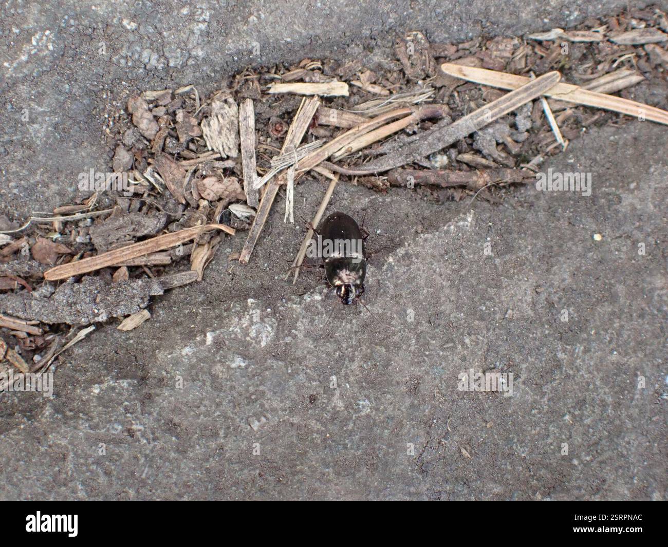 Amara west hi-res stock photography and images - Alamy