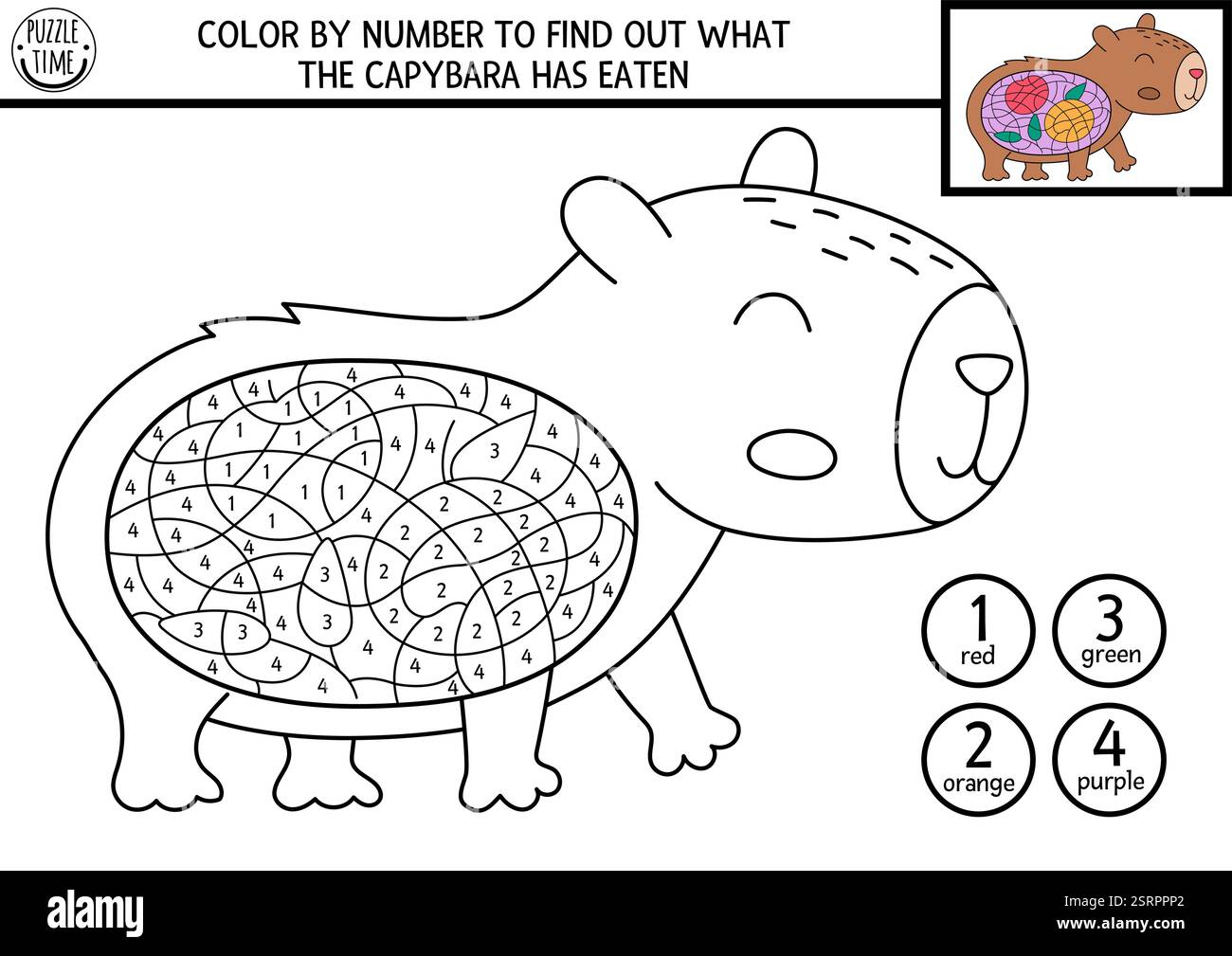 Vector line color by number activity with capybara and food in his ...