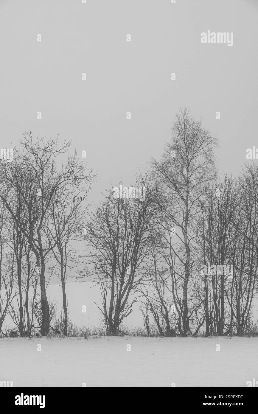 Cultural landscape countryside Black and White Stock Photos & Images ...