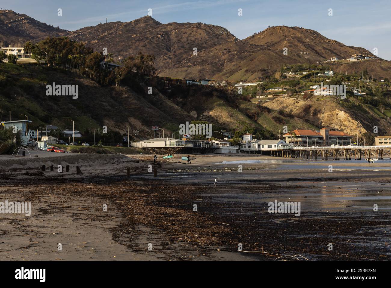 Malibu, USA. 15th Feb, 2025. Ecological damages to the beach and shore ...